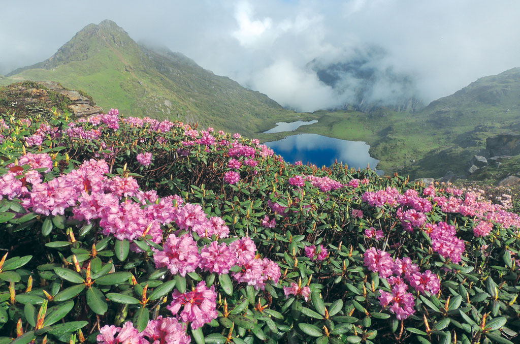 October the Peak Trekking Season in Bhutan- Where are you trekking this ...