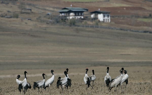 Wangdue Phodrang - The gateway to the far-flung corners of Bhutan